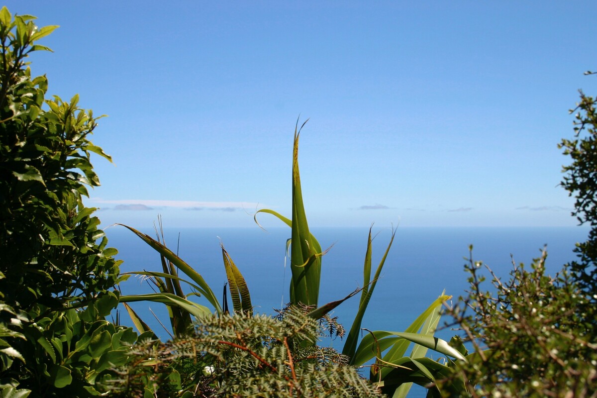 Climate Action Tools Hub • Centre for Social Impact