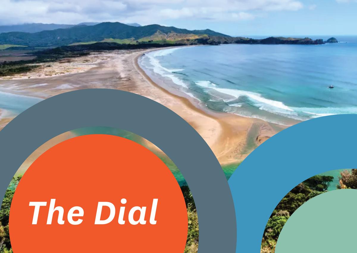 The Dial: February 2021 • Centre for Social Impact